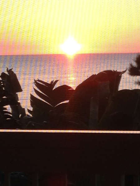 Amateur and professional culinary classes in Ohio | Loretta Paganini ...